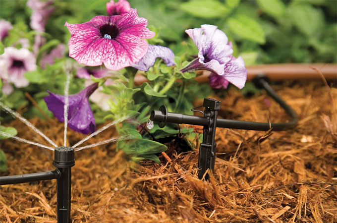 Micro-Aspersion: Quels Avantages pour l'Arrosage